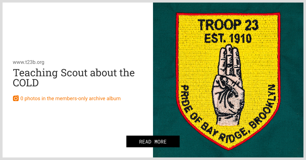 Teaching Scout about the COLD